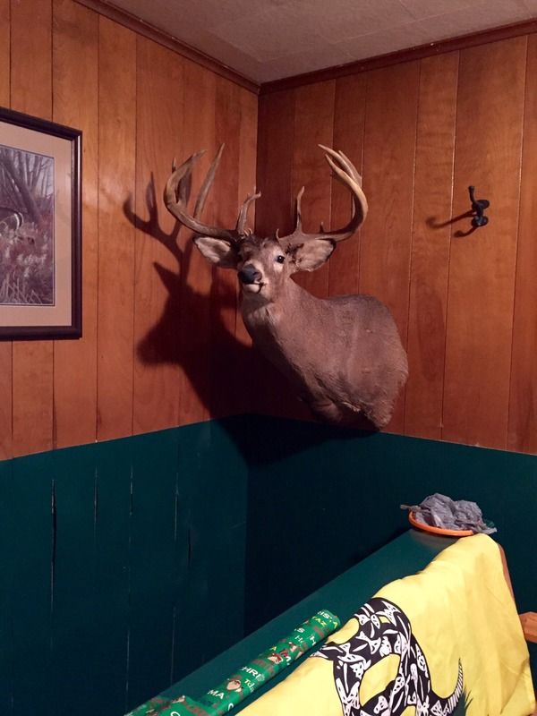 Missouri Bow Hunter Shoots 36 Point Buck > General Discussion > AR15.COM