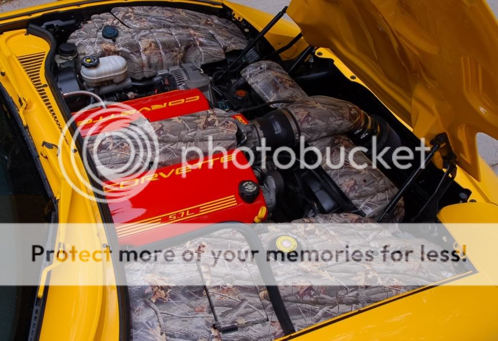 DIY guys, what have you done to the engine compartment? - CorvetteForum ...