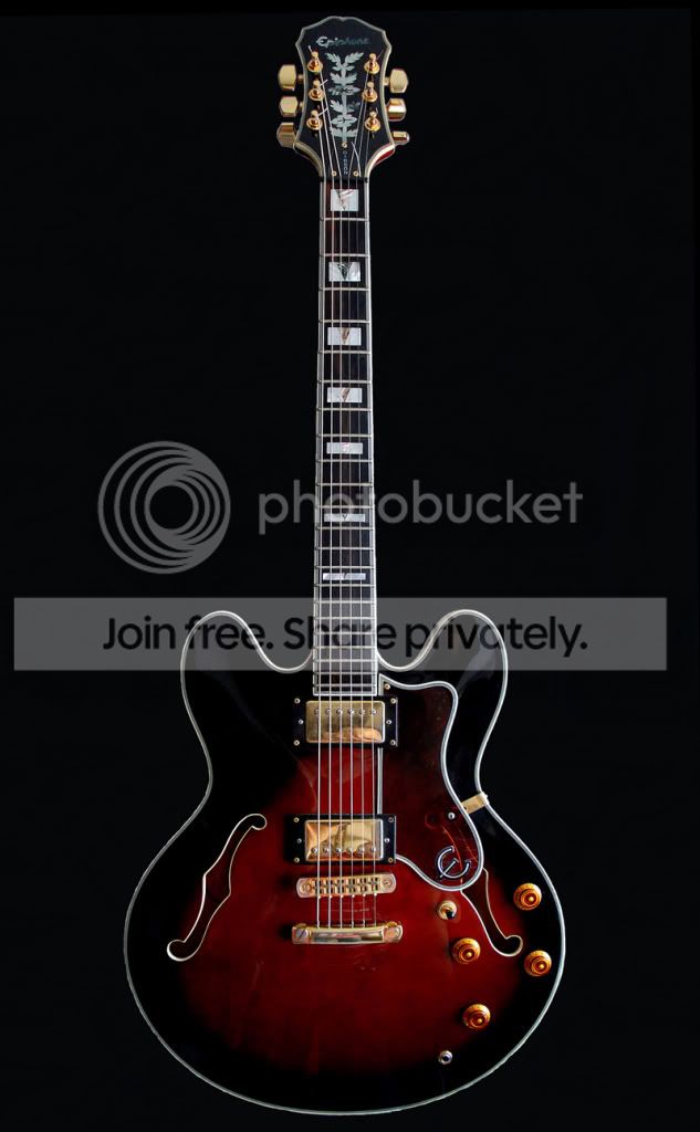 Epiphone Sheraton Missing Fret Inlays - Epiphone Electrics - Gibson ...
