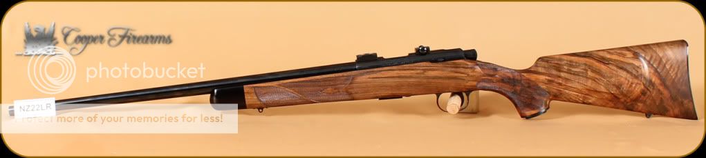 Another nice 22 lr | Rimfire Central Firearm Forum