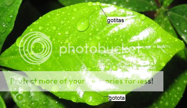 tecnofanatico: Excreción en seres vivos